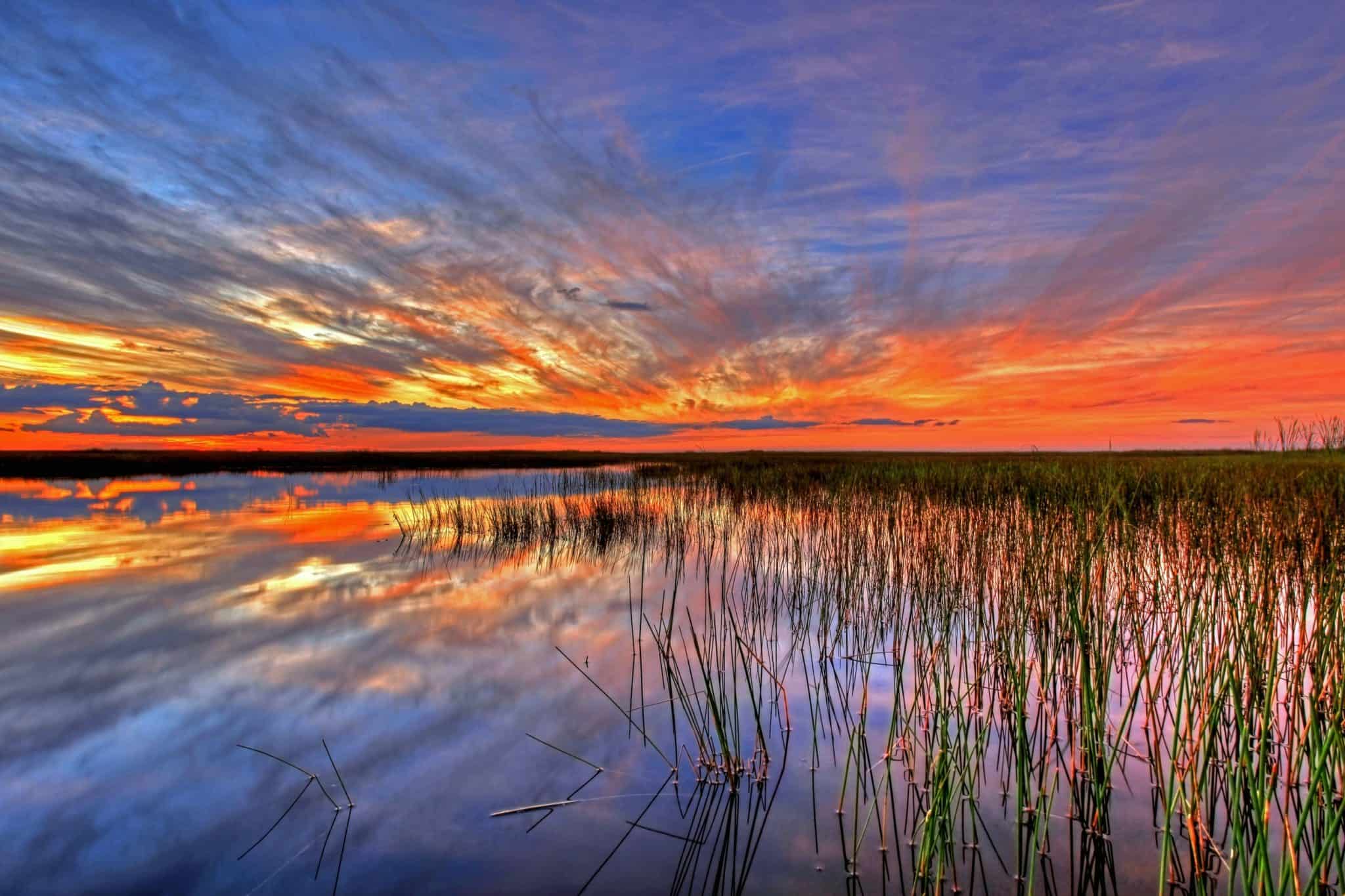 Guide Everglades en Floride : où voir des alligators - visite & conseils